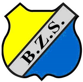 BZS specifieke resultaten RIVM-rapport Rubbergranulaat - vv BZS