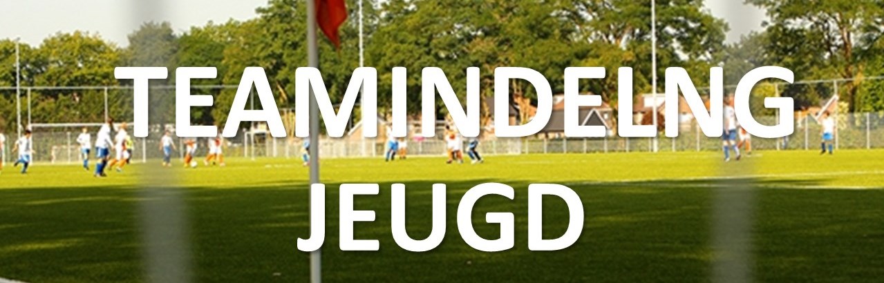Nieuwe team-indeling - sv DSV Sint Anthonis