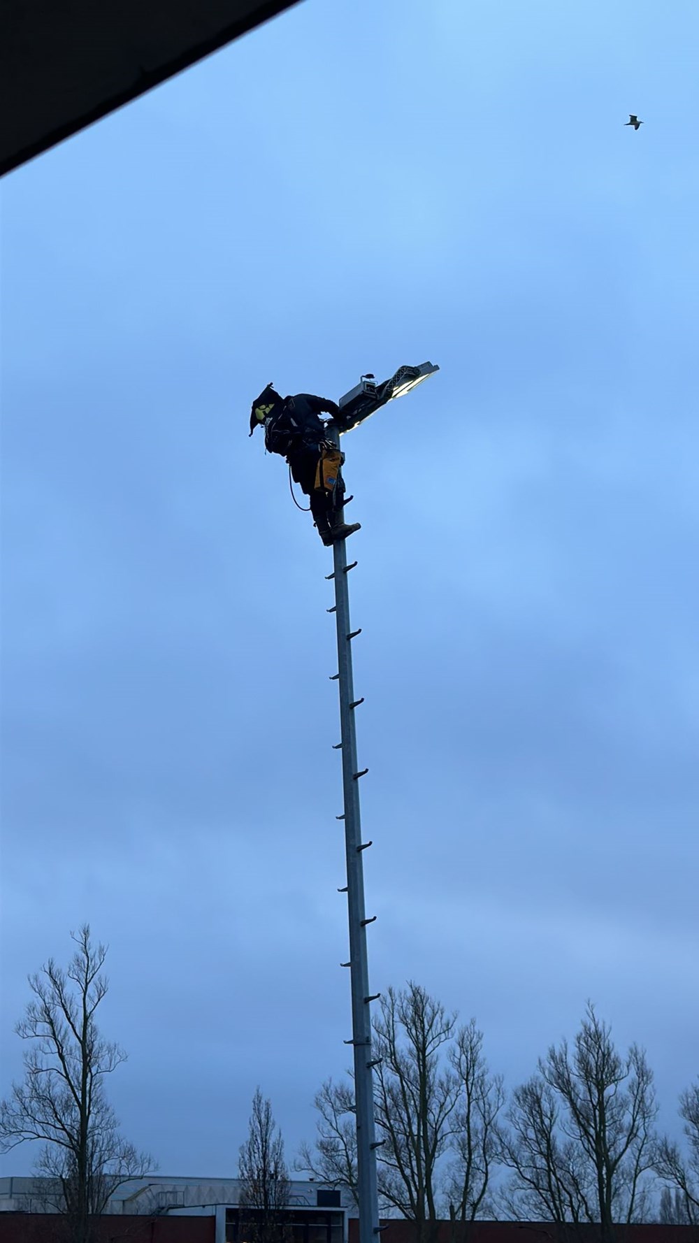 Klimmen in lichtmasten altijd goed voor spannende plaatjes - HSV DUNO