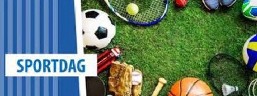 Voetbalkamp wordt Sportdag - DVO