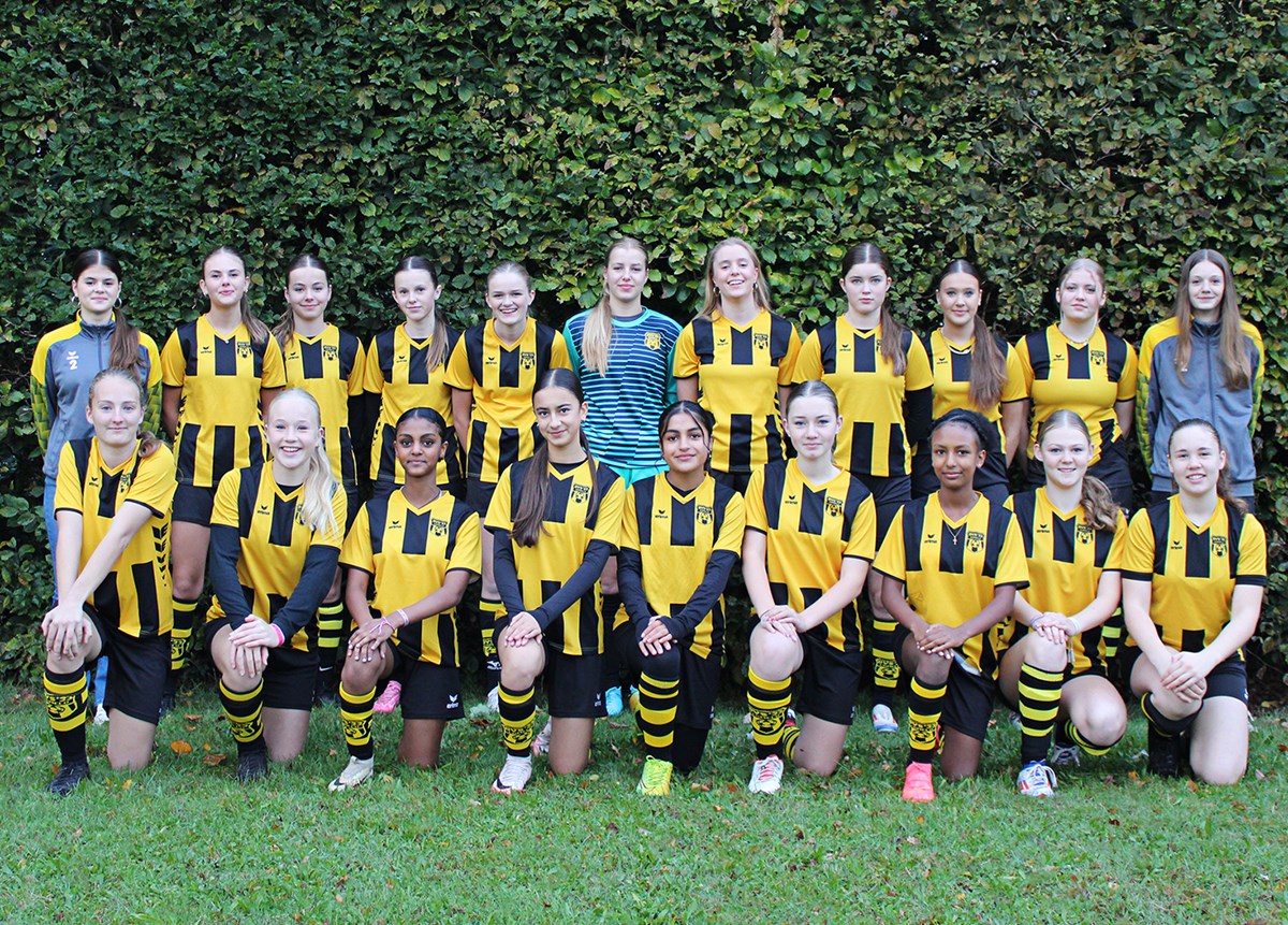 Team-informatie - DVS'33 Ermelo