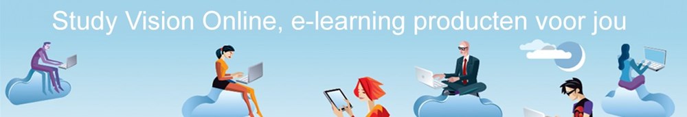 Study Vision - SC Everstein