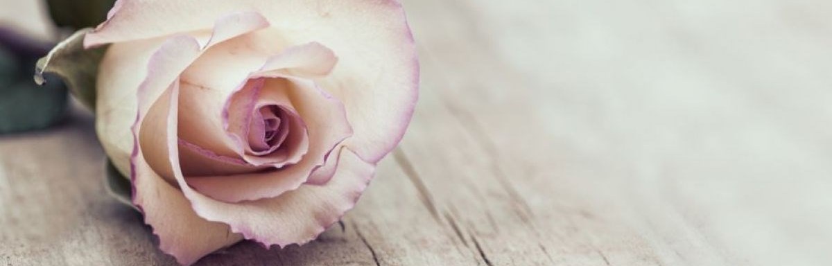 Peter van Knippenberg overleden - GFC'33