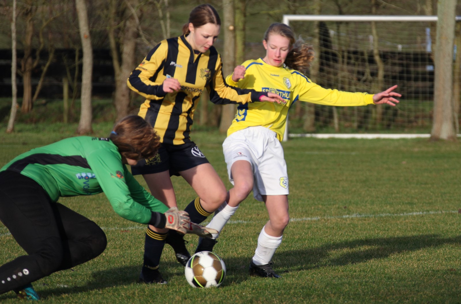 Indelingen voorjaar - V.V. Geel Wit Ameland