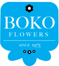 Boko Flowers - ssv HBSS