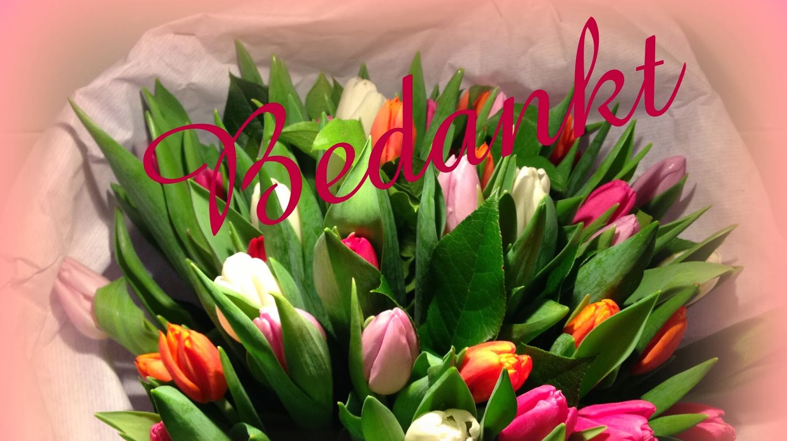 Dankwoord aan alle vrijwilligers - sv Nootdorp