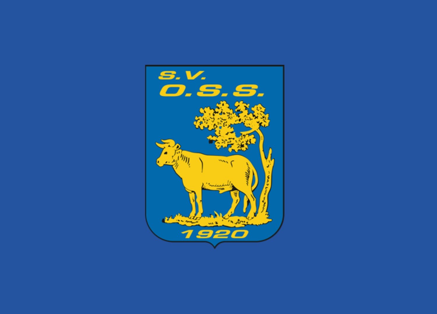 Update vanuit het bestuur - s.v. O.S.S.'20