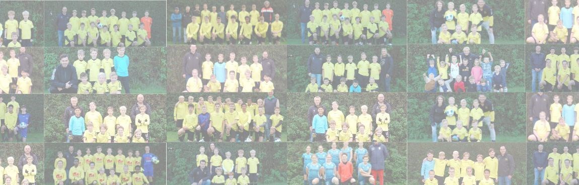 Teamindeling seizoen 2025-2026 bekend! - SV Odijk Voetbal