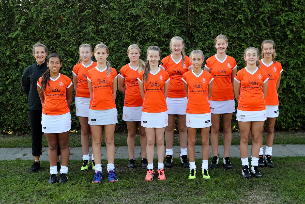 Team-informatie - RKSV Prinses Irene Nistelrode - Voetbal & Korfbal