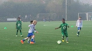 Burenruzie prooi voor jo9-3. - TOS-Actief