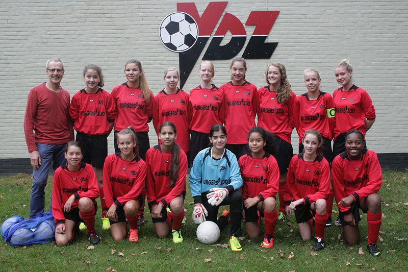 Team-informatie - VDZ