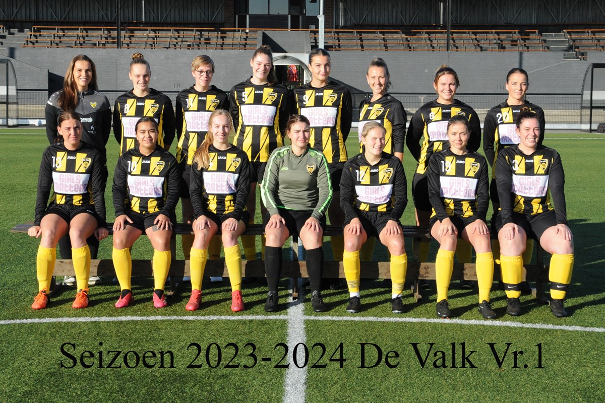 Team-informatie - https://www.vvdevalk.nl/