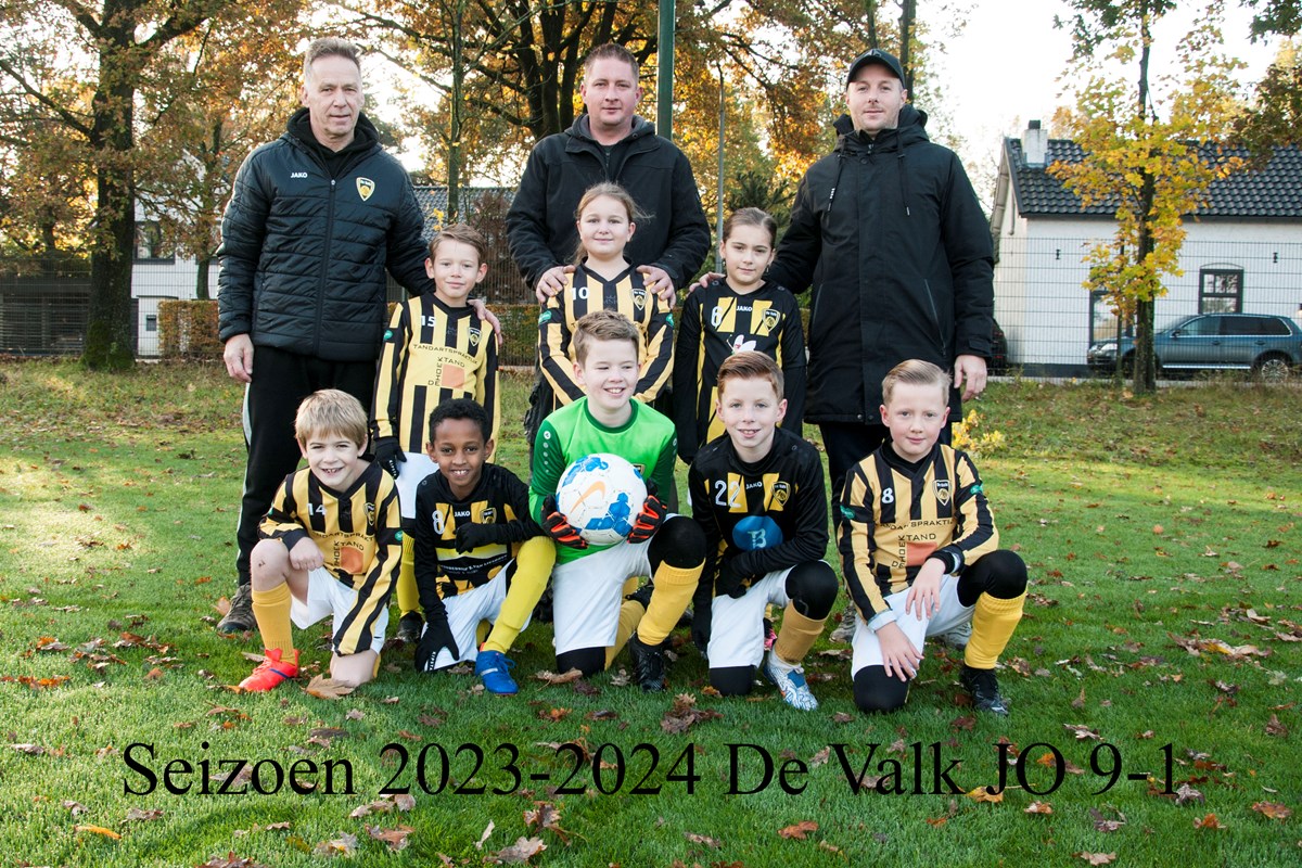 Team-informatie - https://www.vvdevalk.nl/