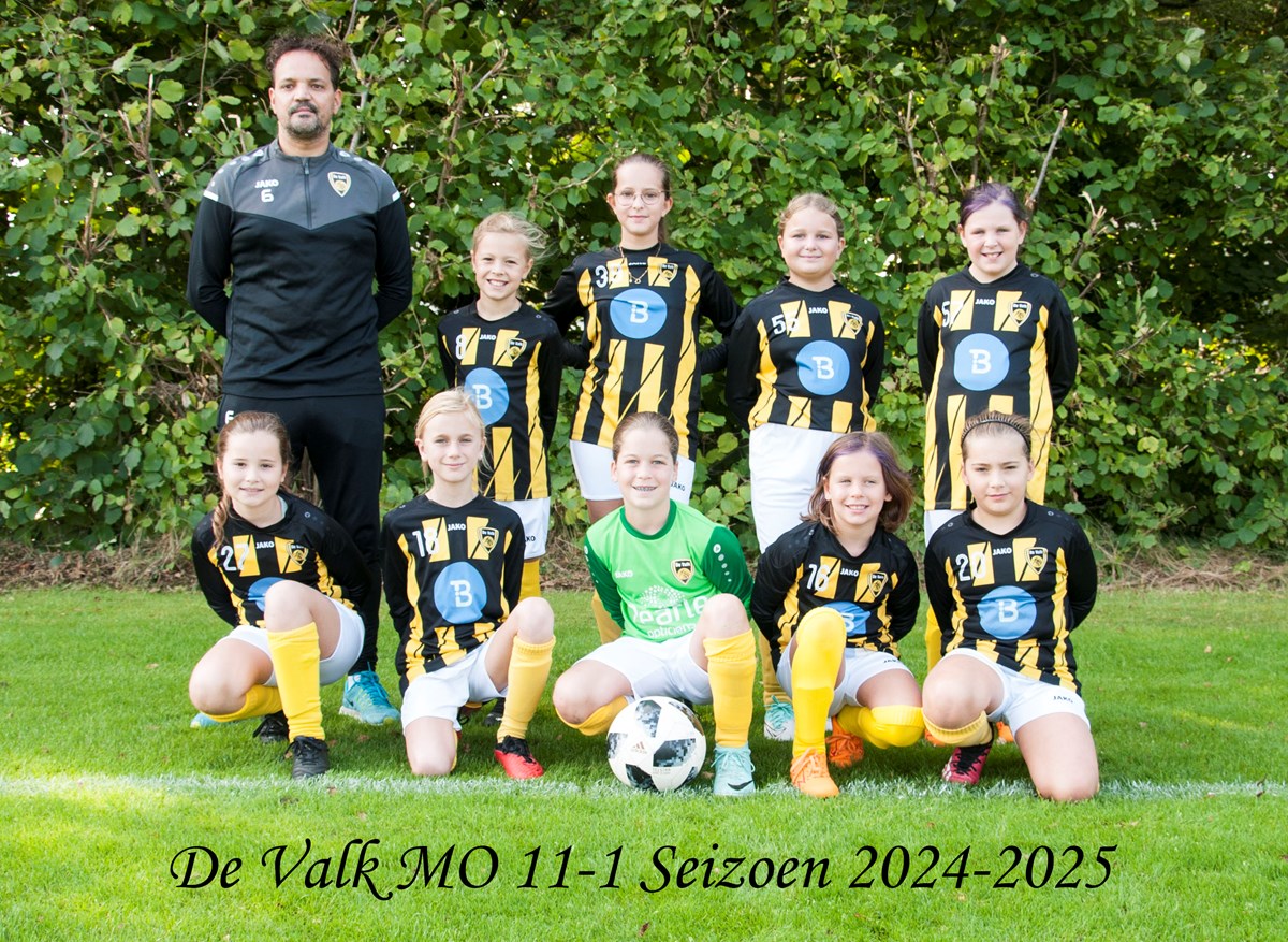 Team-informatie - https://www.vvdevalk.nl/