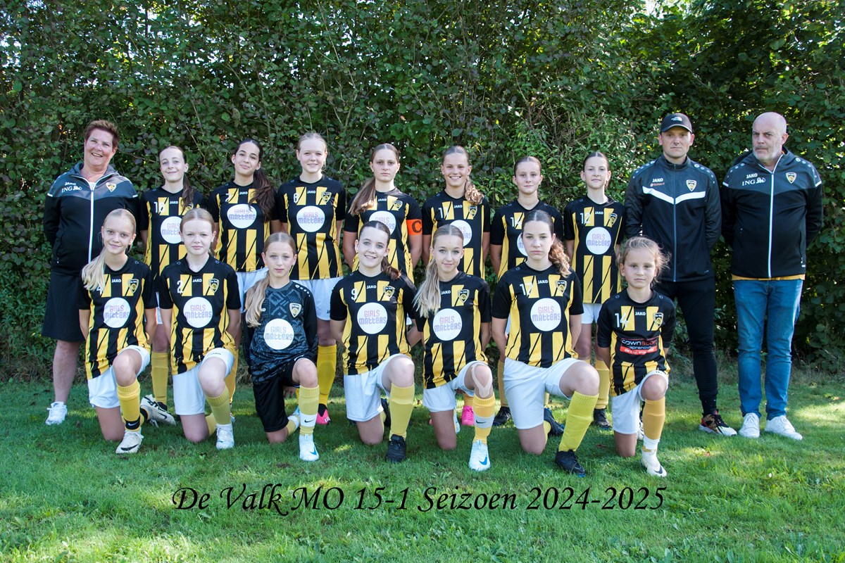 Team-informatie - https://www.vvdevalk.nl/